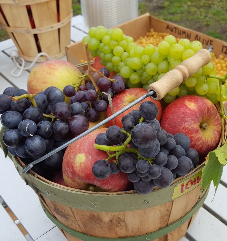 Skipley Farm – Organic upick fruit, berries and edible plant nursery ...