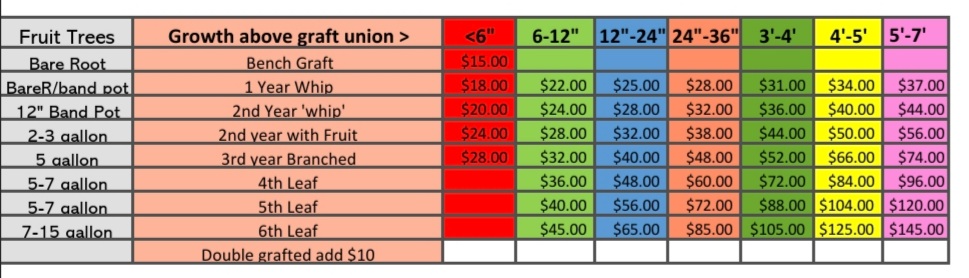 Fruit tree varieties, apples – Skipley Farm